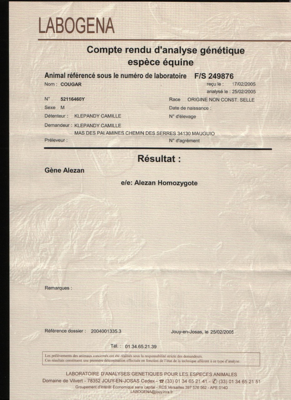 le genotype Labogena de Cougar :: Etalon champagne or : Cougar
